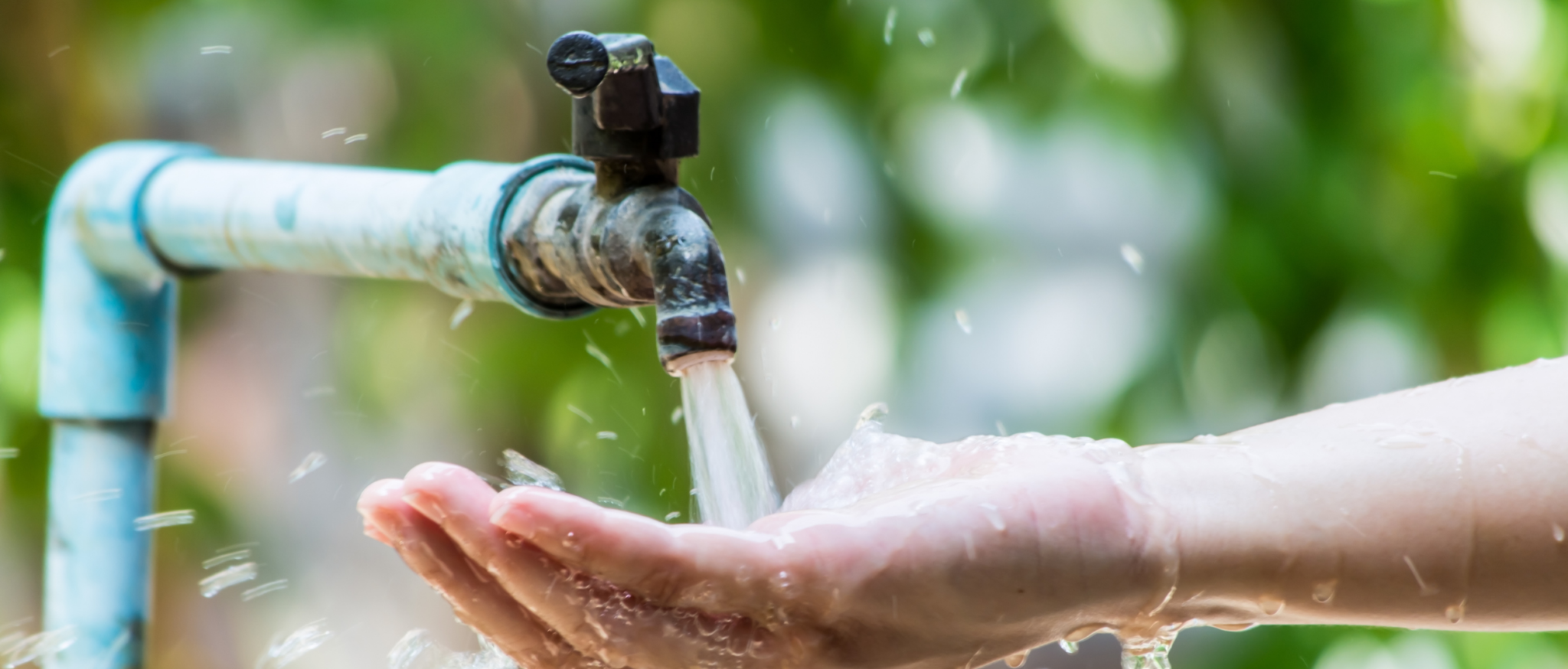 Water, Sanitation and Hygiene (WASH) - CENN - Shaping The Future By ...