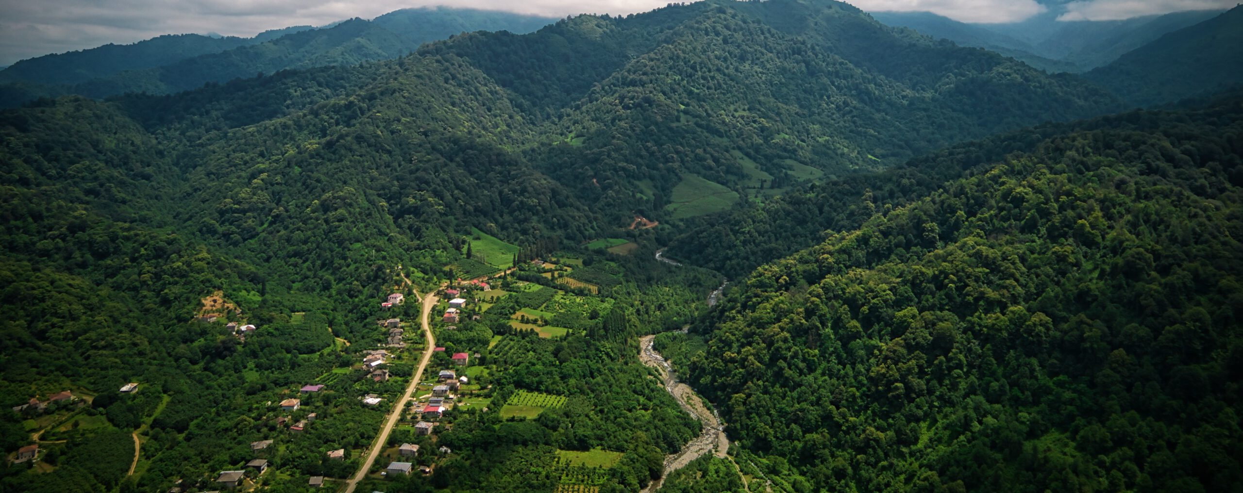 EU-supported Grant Opportunity for Ozurgeti, Chokhatauri, and ...